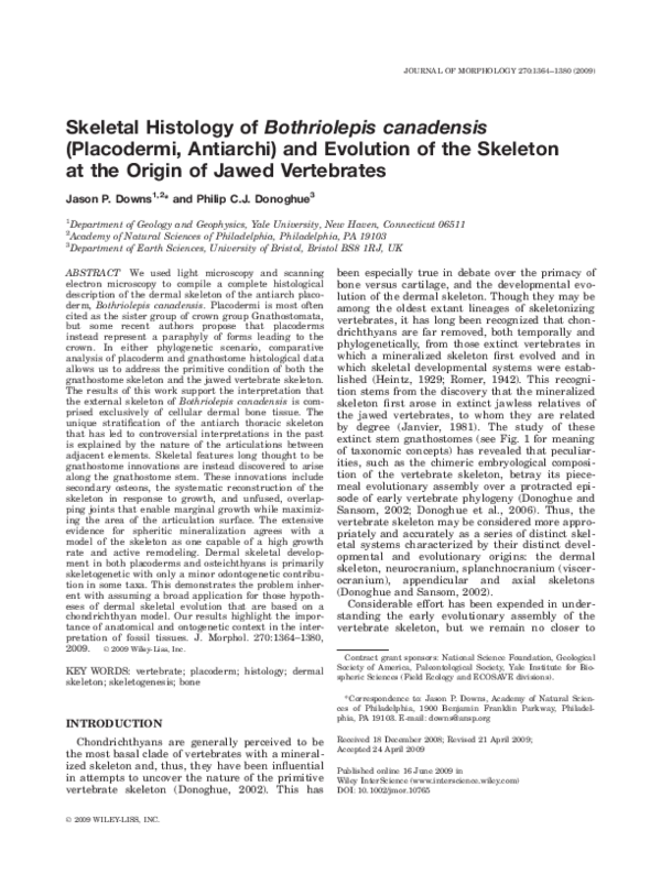 (PDF) Skeletal histology of Bothriolepis canadensis (Placodermi ...