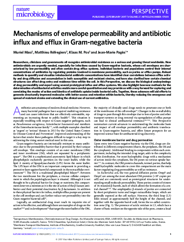 (PDF) Mechanisms of envelope permeability and antibiotic influx and ...