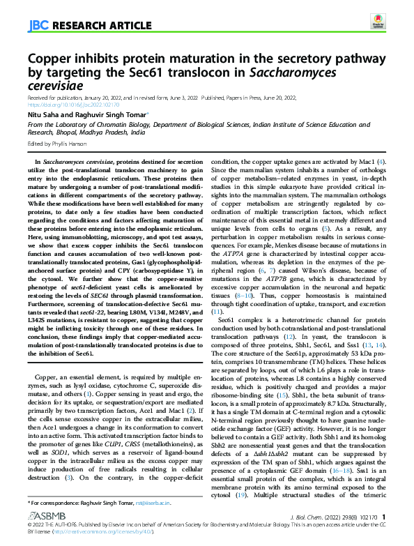 (PDF) Copper inhibits protein maturation in the secretory pathway by ...