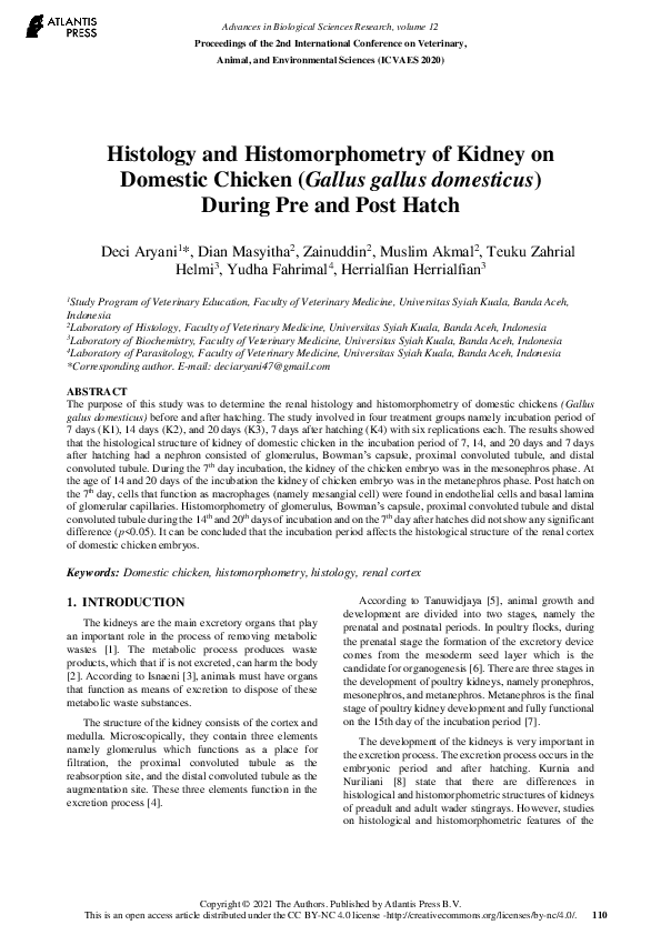 (PDF) Histology and Histomorphometry of Kidney on Domestic Chicken ...