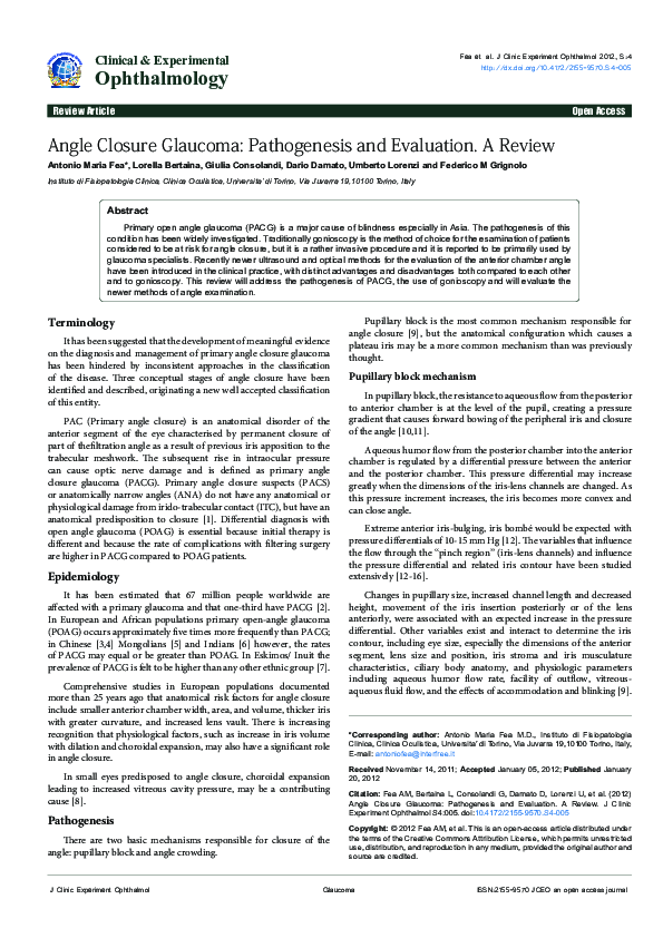 (PDF) Angle Closure Glaucoma: Pathogenesis and Evaluation. A Review