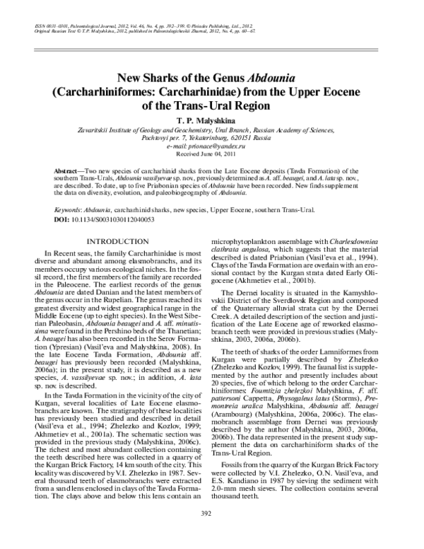 (PDF) New sharks of the genus Abdounia (Carcharhiniformes ...