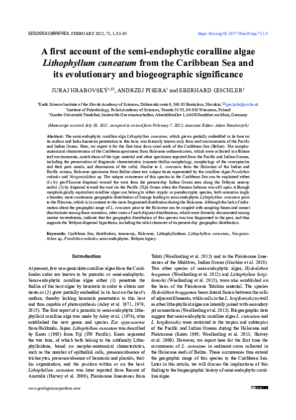 (PDF) A first account of the semi-endophytic coralline algae ...