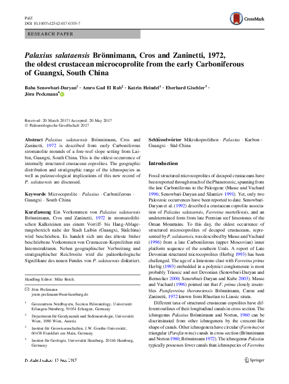 (PDF) Palaxius salataensis Brönnimann, Cros and Zaninetti, 1972, the ...