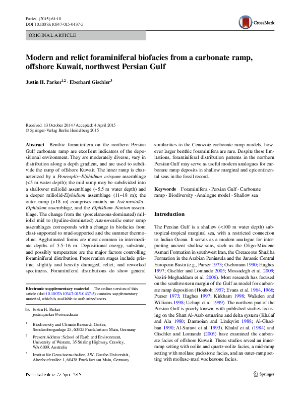(PDF) Modern and relict foraminiferal biofacies from a carbonate ramp ...