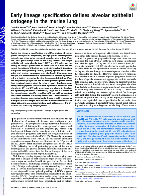 (PDF) Early lineage specification defines alveolar epithelial ontogeny ...