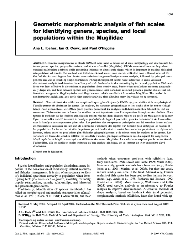 (PDF) Geometric morphometric analysis of fish scales for identifying genera, species, and local ...