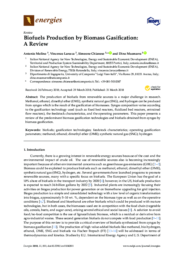 (PDF) Biofuels Production by Biomass Gasification: A Review