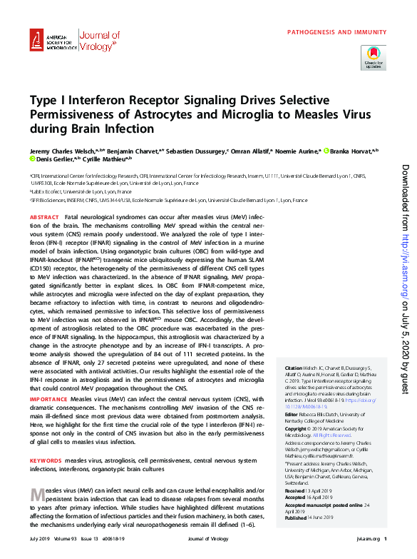 (PDF) Type I Interferon Receptor Signaling Drives Selective ...