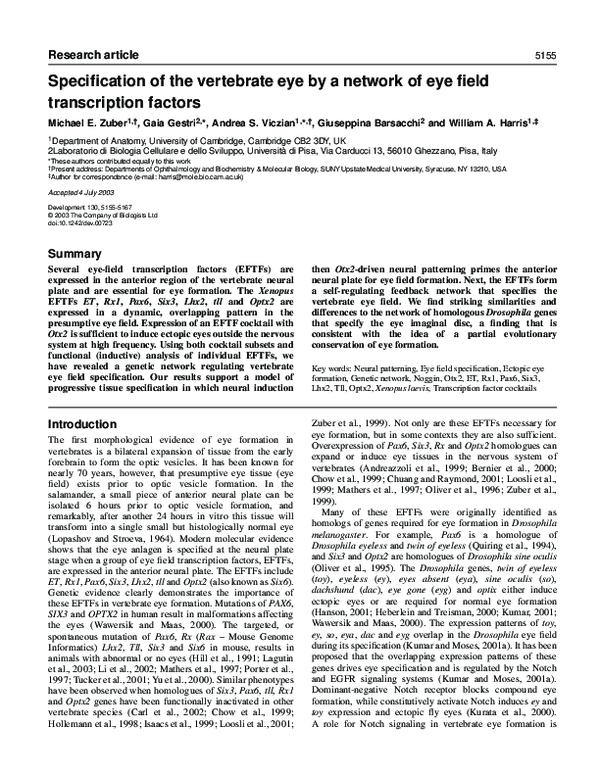 (PDF) Specification of the vertebrate eye by a network of eye field ...