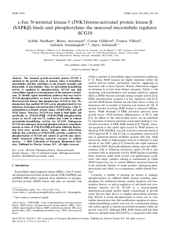 (PDF) c-Jun N-terminal kinase-3 (JNK3)/stress-activated protein kinase-β (SAPKβ) binds and ...