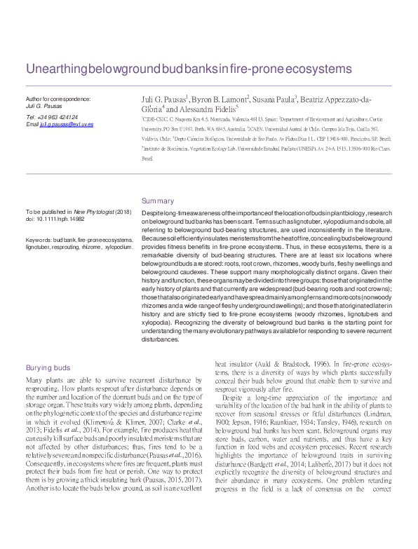 (PDF) Unearthing belowground bud banks in fire-prone ecosystems