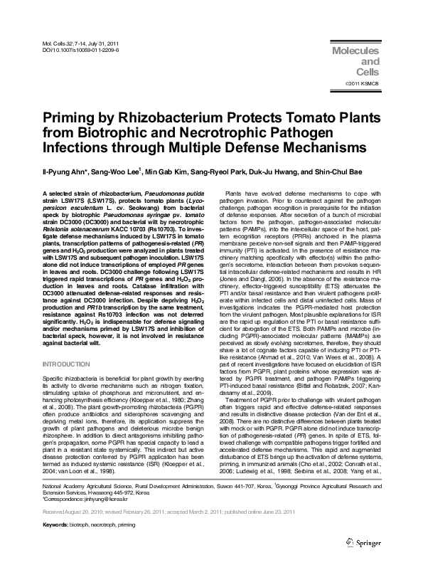 (PDF) Priming by rhizobacterium protects tomato plants from biotrophic ...