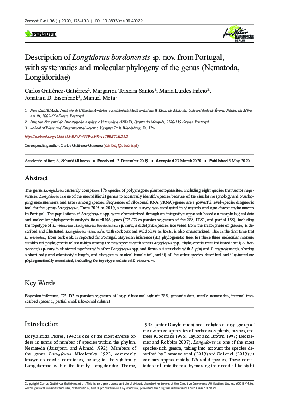 (PDF) Description of Longidorus bordonensis sp. nov. from Portugal ...