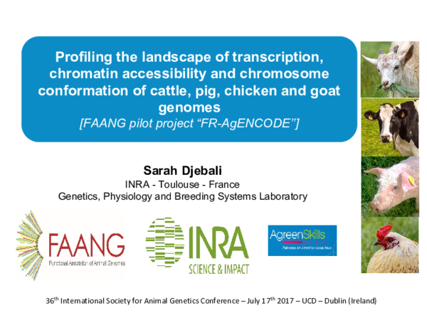 (PDF) Profiling the landscape of transcription, chromatin accessibility ...