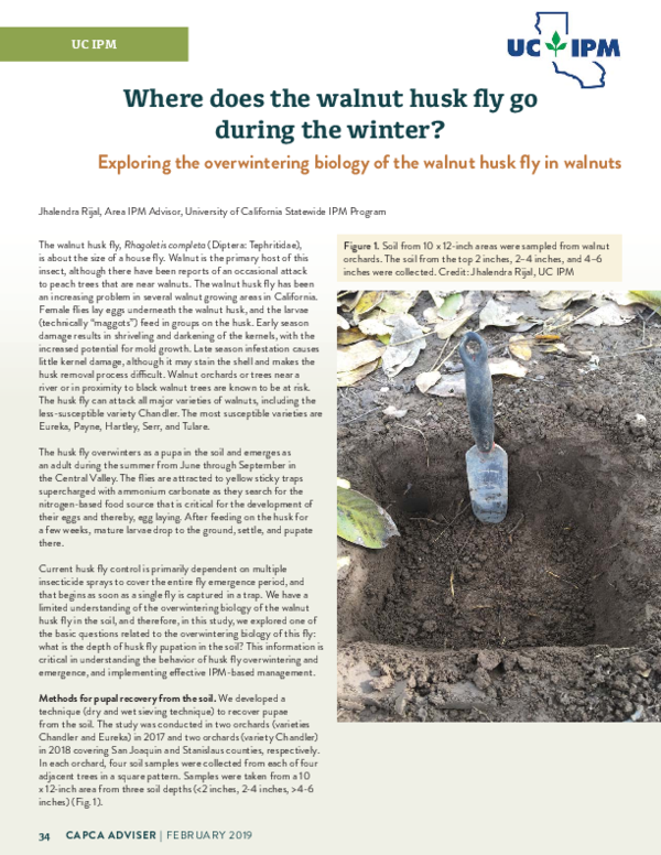 (PDF) Where does the walnut husk fly go during the winter ? Exploring ...