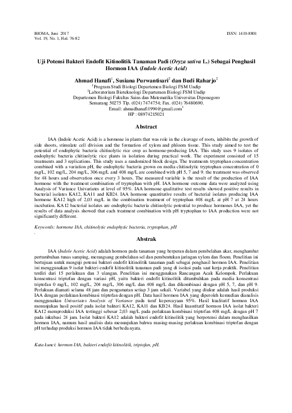 (PDF) Uji Potensi Bakteri Endofit Kitinolitik Tanaman Padi (Oryza ...