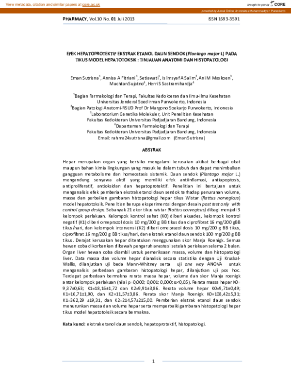 (PDF) EFEK HEPATOPROTEKTIF EKSTRAK ETANOL DAUN SENDOK ( Plantago major ...