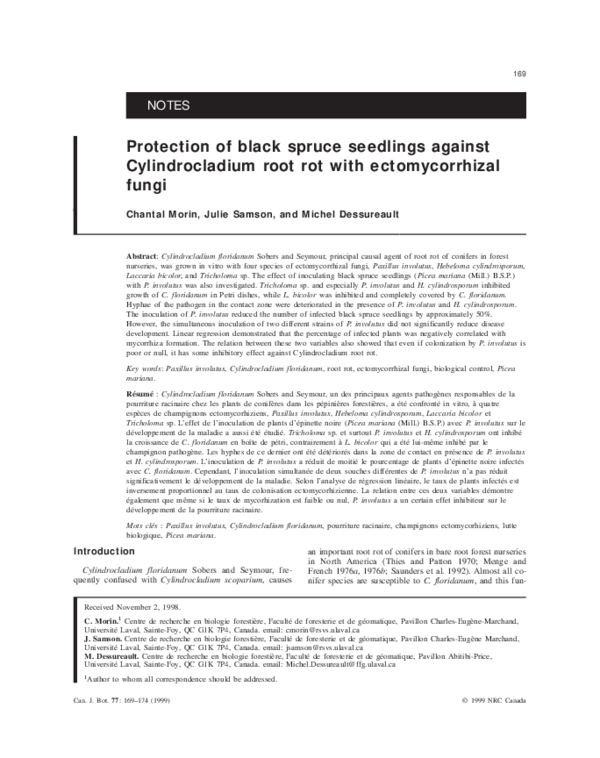 (PDF) Protection of black spruce seedlings against Cylindrocladium root ...