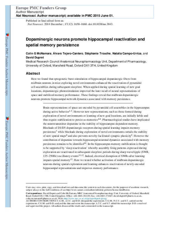 (PDF) Dopaminergic neurons promote hippocampal reactivation and spatial memory persistence