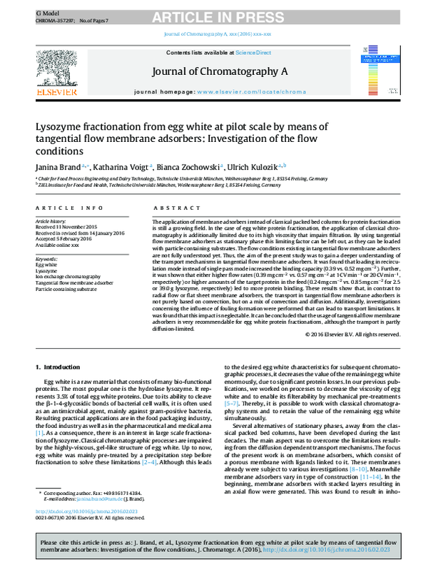 (PDF) Lysozyme fractionation from egg white at pilot scale by means of ...