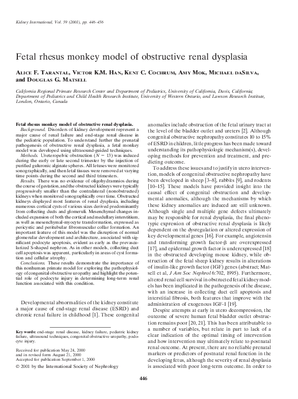 (PDF) Fetal rhesus monkey model of obstructive renal dysplasia