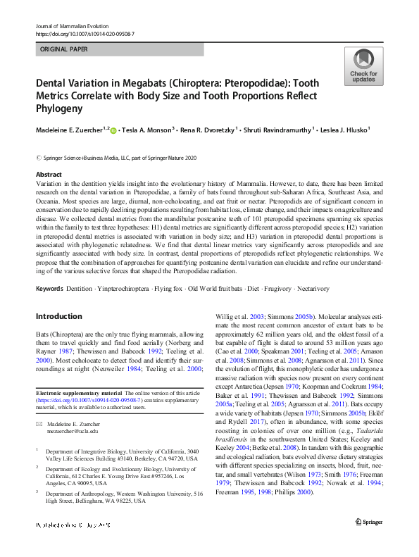 (PDF) Dental Variation in Megabats (Chiroptera: Pteropodidae): Tooth ...