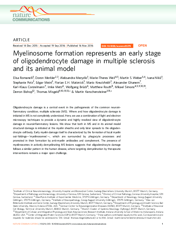 (PDF) Myelinosome formation represents an early stage of ...