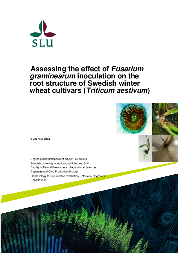 (PDF) Assessing the effect of Fusarium graminearum inoculation on the ...