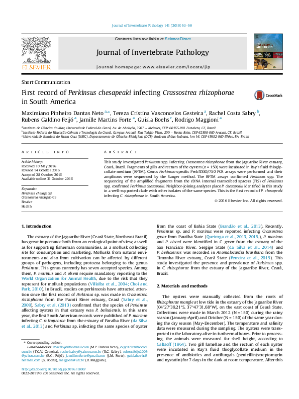 (PDF) First record of Perkinsus chesapeaki infecting Crassostrea ...