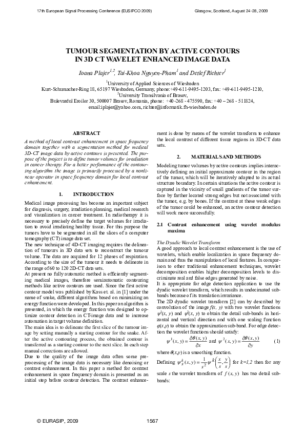 (PDF) Tumour Segmentation by Active Contours in 3D CT Wavelet Enhanced Image Data
