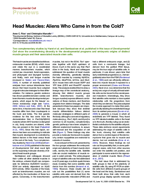 (PDF) Head Muscles: Aliens Who Came in from the Cold?