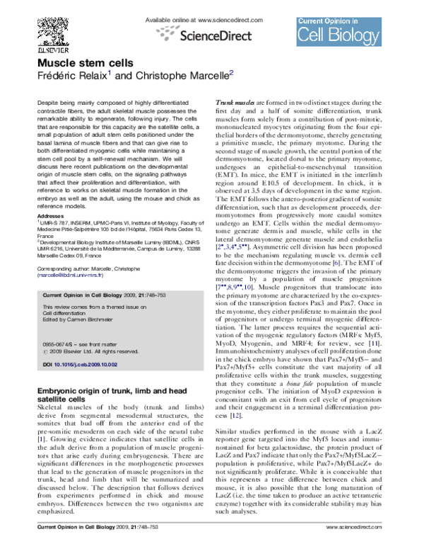 (PDF) Muscle stem cells