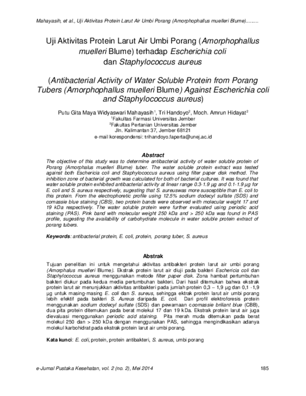 (PDF) Uji Aktivitas Protein Larut Air Umbi Porang (Amorphophallus muelleri Blume) terhadap ...