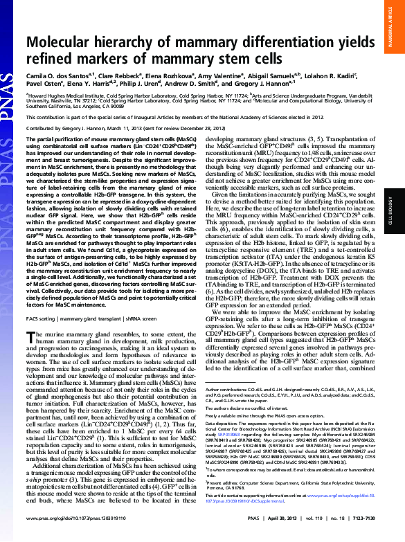 (PDF) Molecular hierarchy of mammary differentiation yields refined ...