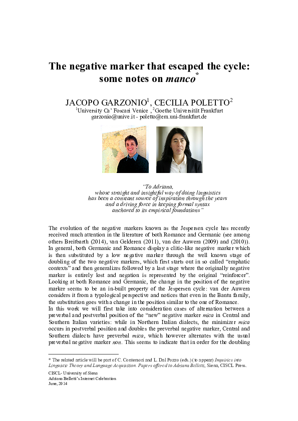 (PDF) The negative marker that escaped the cycle. Some notes on 'manco ...