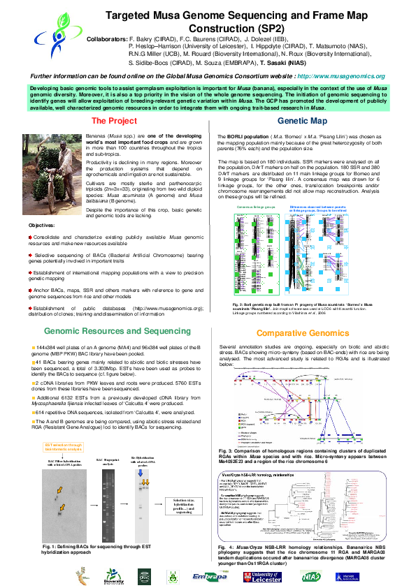 (PDF) Targeted Musa Genome Sequencing and Frame Map Construction