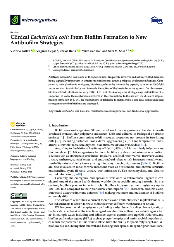 (PDF) Clinical Escherichia coli: From Biofilm Formation to New Antibiofilm Strategies