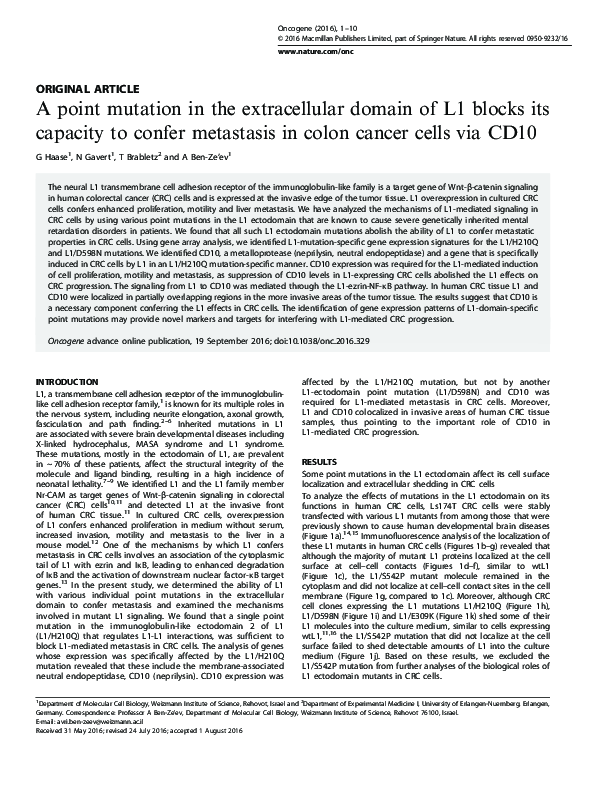 (PDF) A point mutation in the extracellular domain of L1 blocks its ...