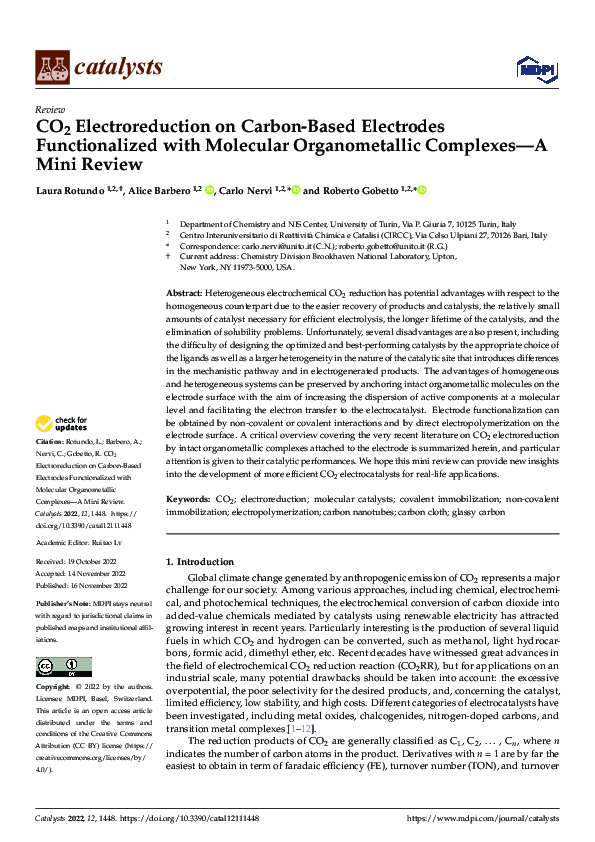 (PDF) CO2 Electroreduction on Carbon-Based Electrodes Functionalized ...