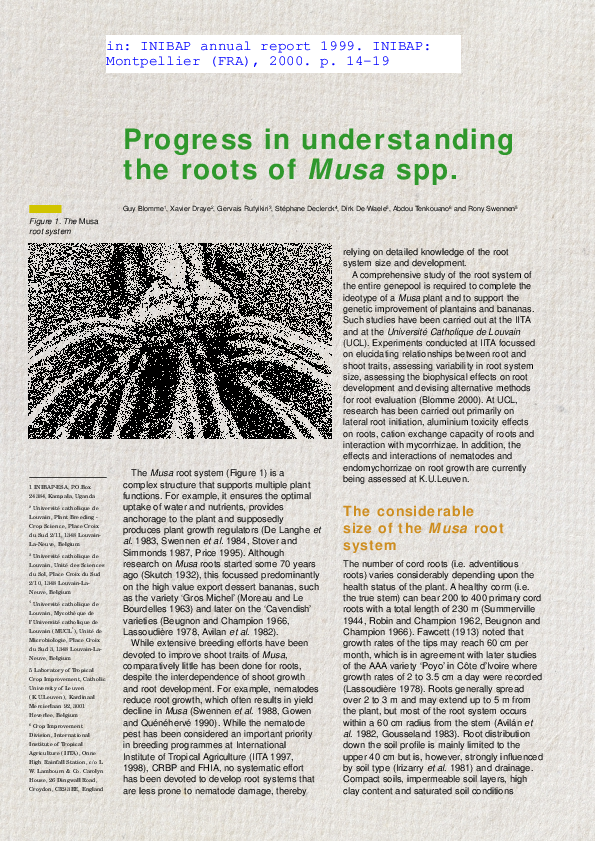 (PDF) Progress in understanding the roots of Musa spp