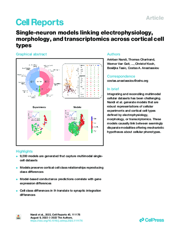 (PDF) Single-neuron models linking electrophysiology, morphology, and ...