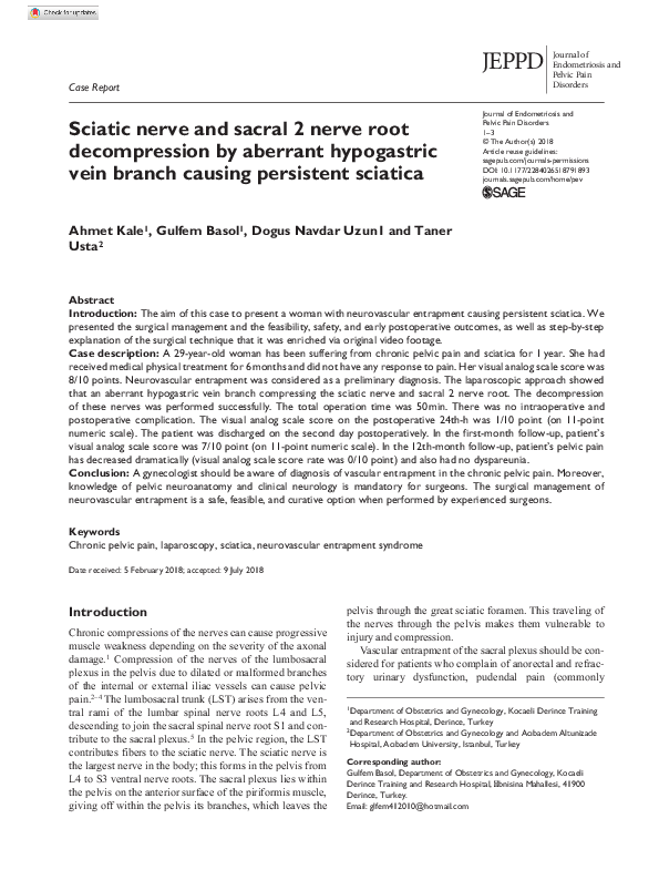 (PDF) Sciatic nerve and sacral 2 nerve root decompression by aberrant hypogastric vein branch ...