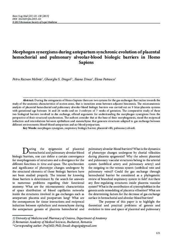 (PDF) Morphogen synergisms during antepartum synchronic evolution of ...