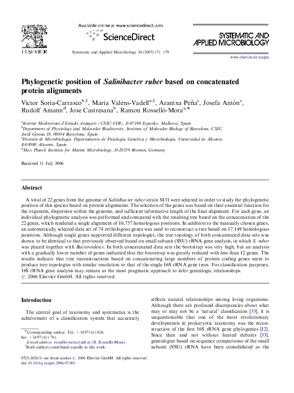 (PDF) Phylogenetic position of Salinibacter ruber based on concatenated ...