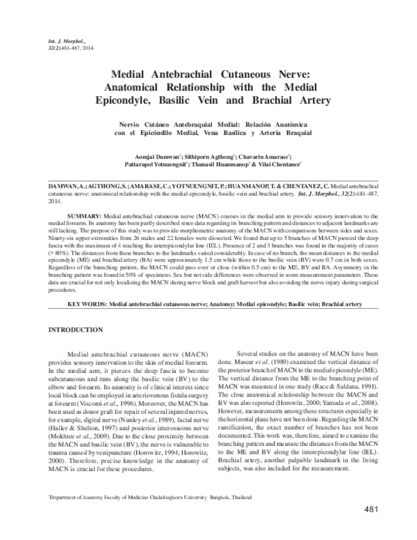 (PDF) Medial Antebrachial Cutaneous Nerve: Anatomical Relationship with ...