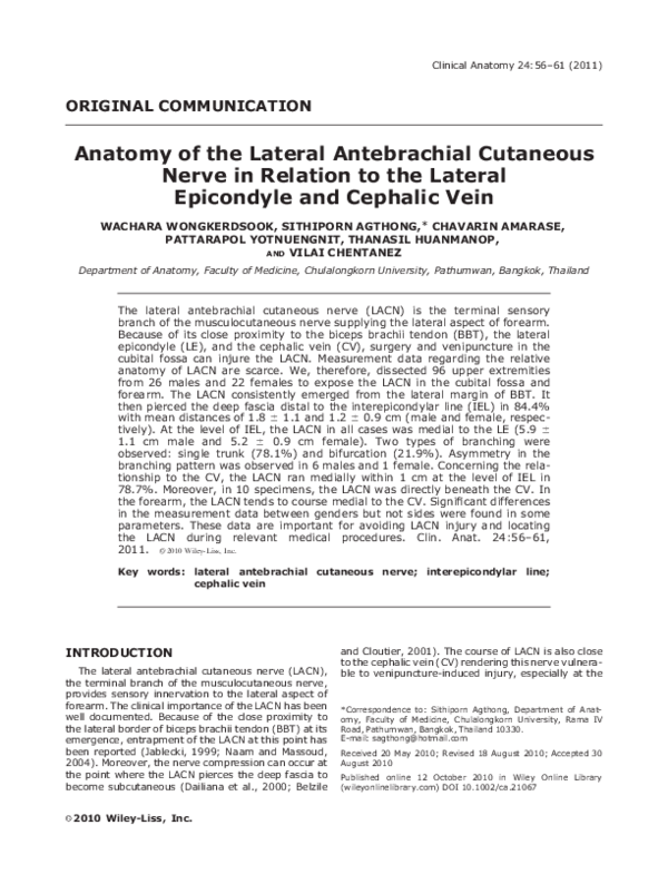 (PDF) Anatomy of the lateral antebrachial cutaneous nerve in relation ...