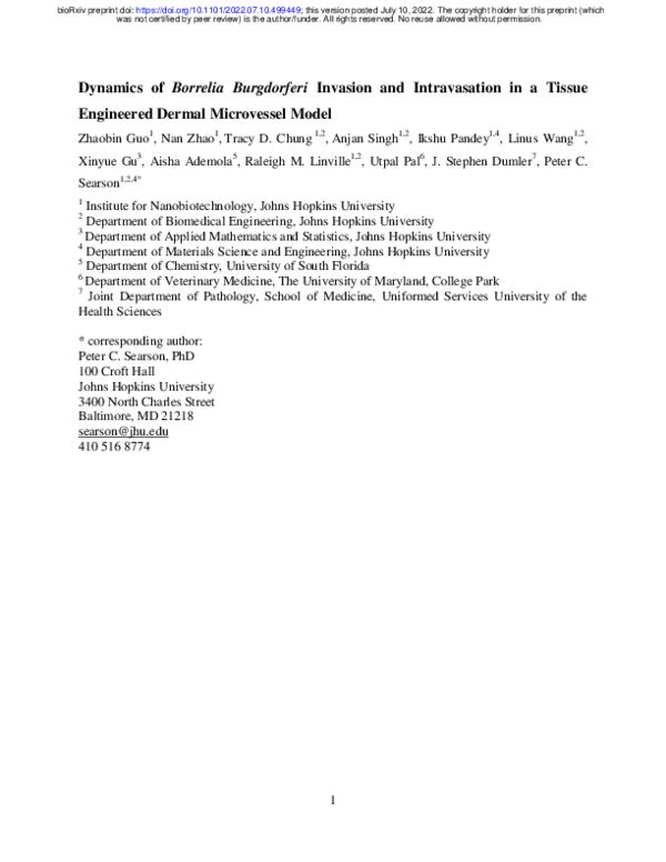 (PDF) Dynamics of Borrelia Burgdorferi Invasion and Intravasation in a ...