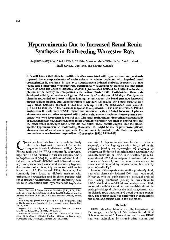 (PDF) Hyperreninemia due to increased renal renin synthesis in BioBreeding Worcester rats