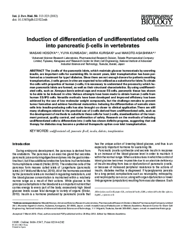 (PDF) Differentiation of Undifferentiated Cells to Beta Cells